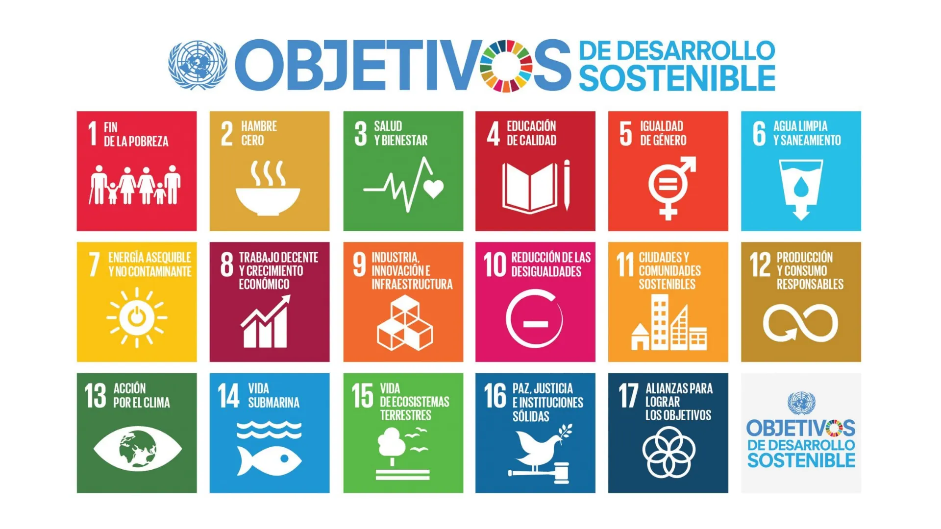 Objetivos de Desarrollo Sostenible 2026 | Guía ODS